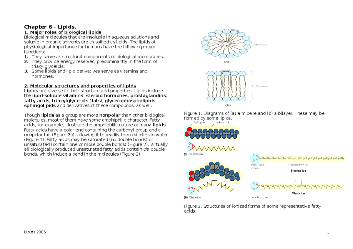 2006 Lipids - Chapter 6 - Lipids. Major roles of biological lipids ...