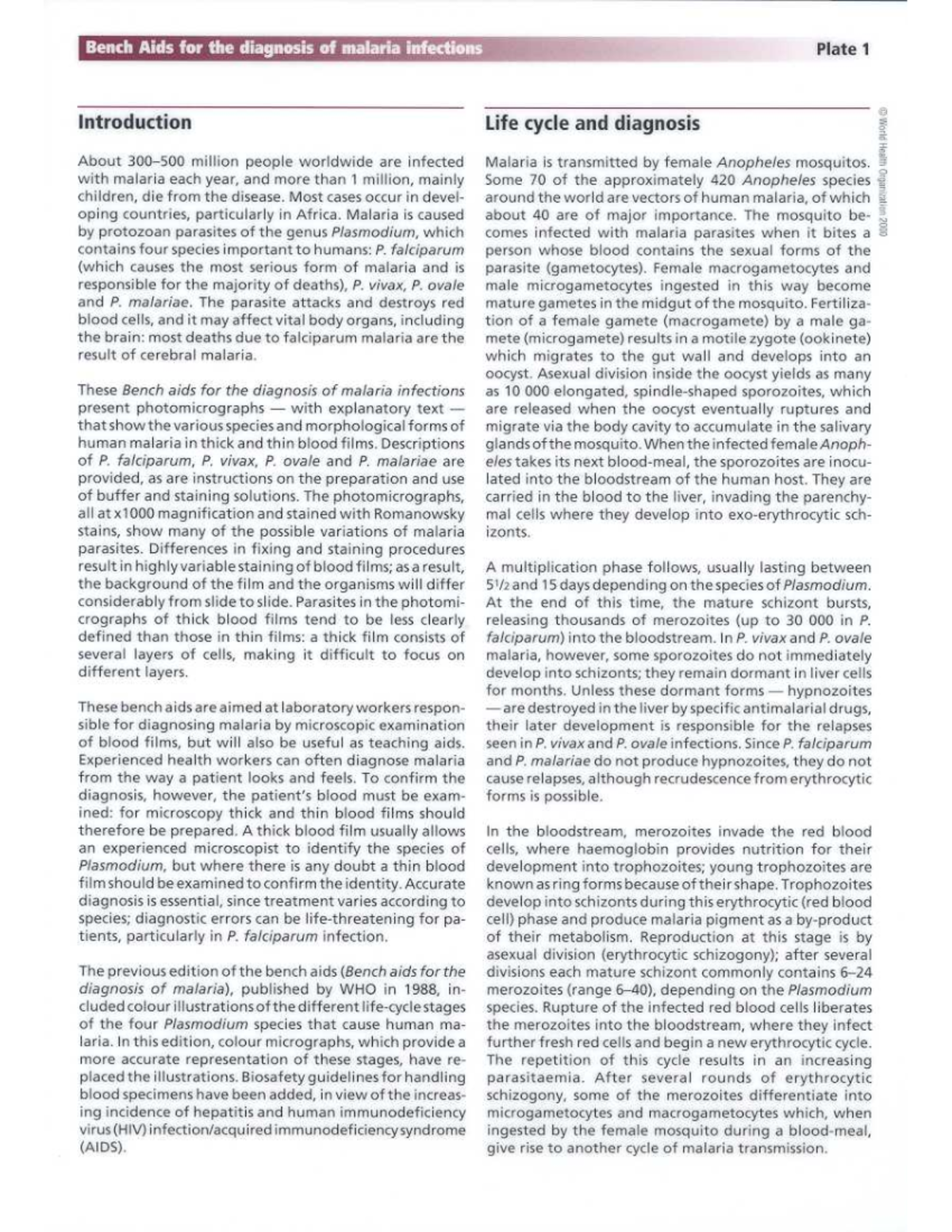 Bench Aids for Malaria Diagnosis - Nursing - Studocu