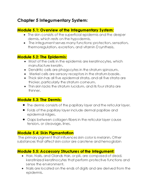 Chapter 6 bones - summary - CHAPTER 6: BONES Module 6: Introduction to ...