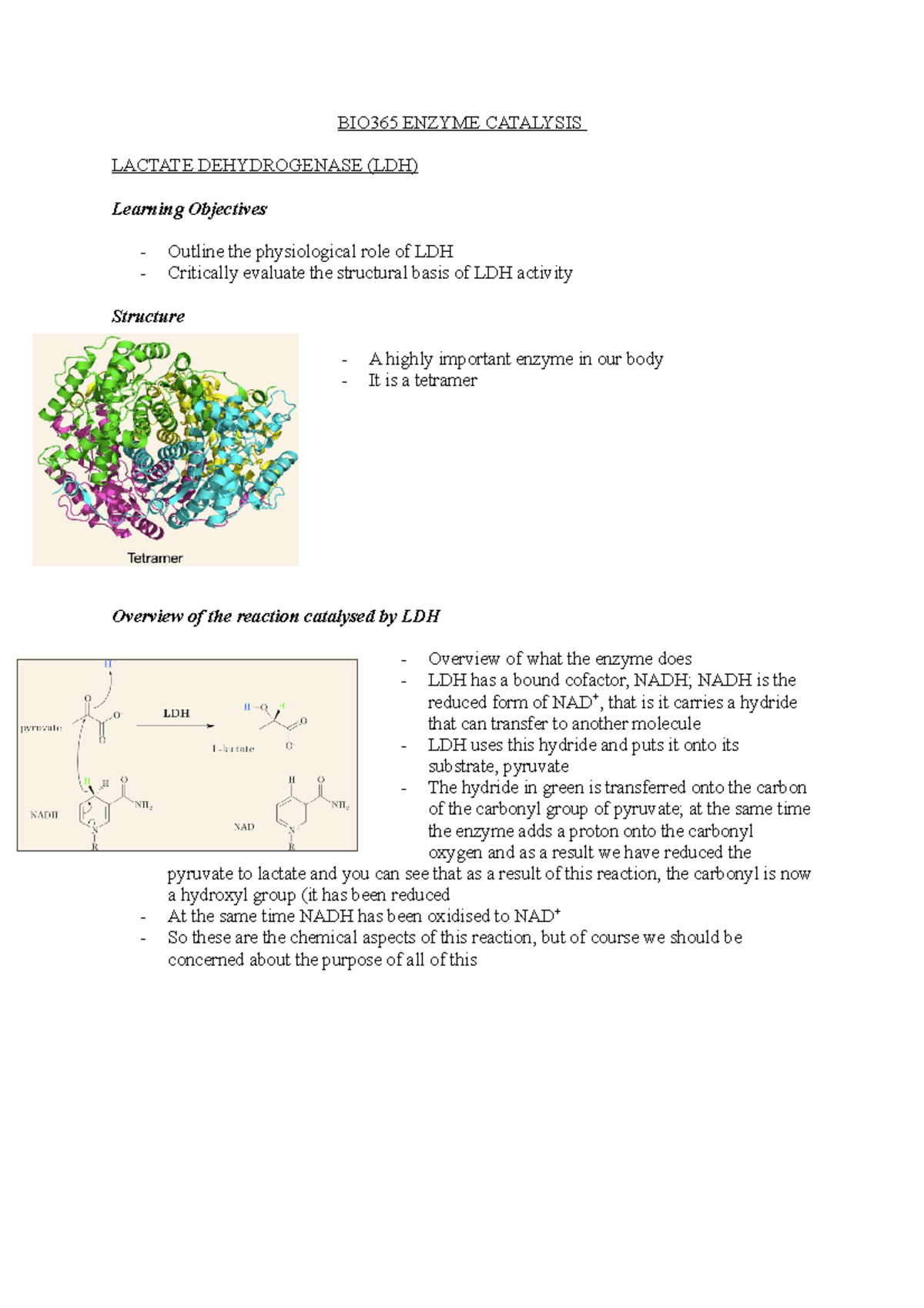 Week 11 - Lactate Dehydrogenase - BIO365 ENZYME CATALYSIS LACTATE ...