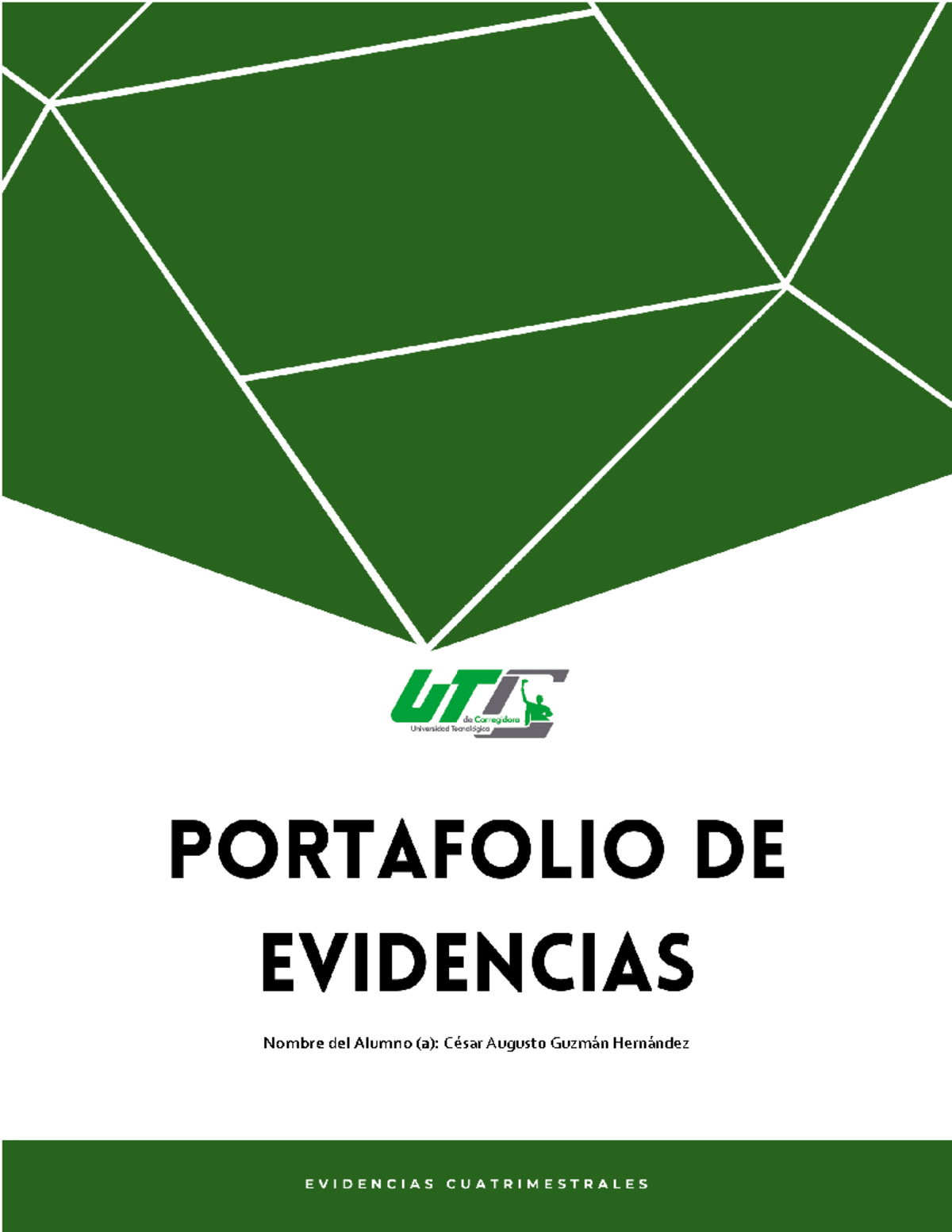 César Augusto Guzmán Hernández QI202 Portafolio Evidencias - Nombre del ...