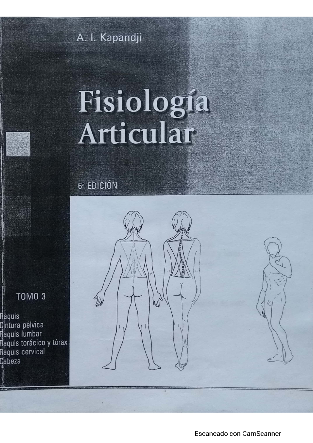 Kapandji respiración - fonacion - A. I. Kapandji Fisiología Articular ...