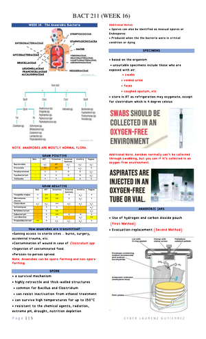 BACT LAB - Transes - LAB PART 1: ANTIMICROBIAL SUSCEPTIBILITY TESTING ...