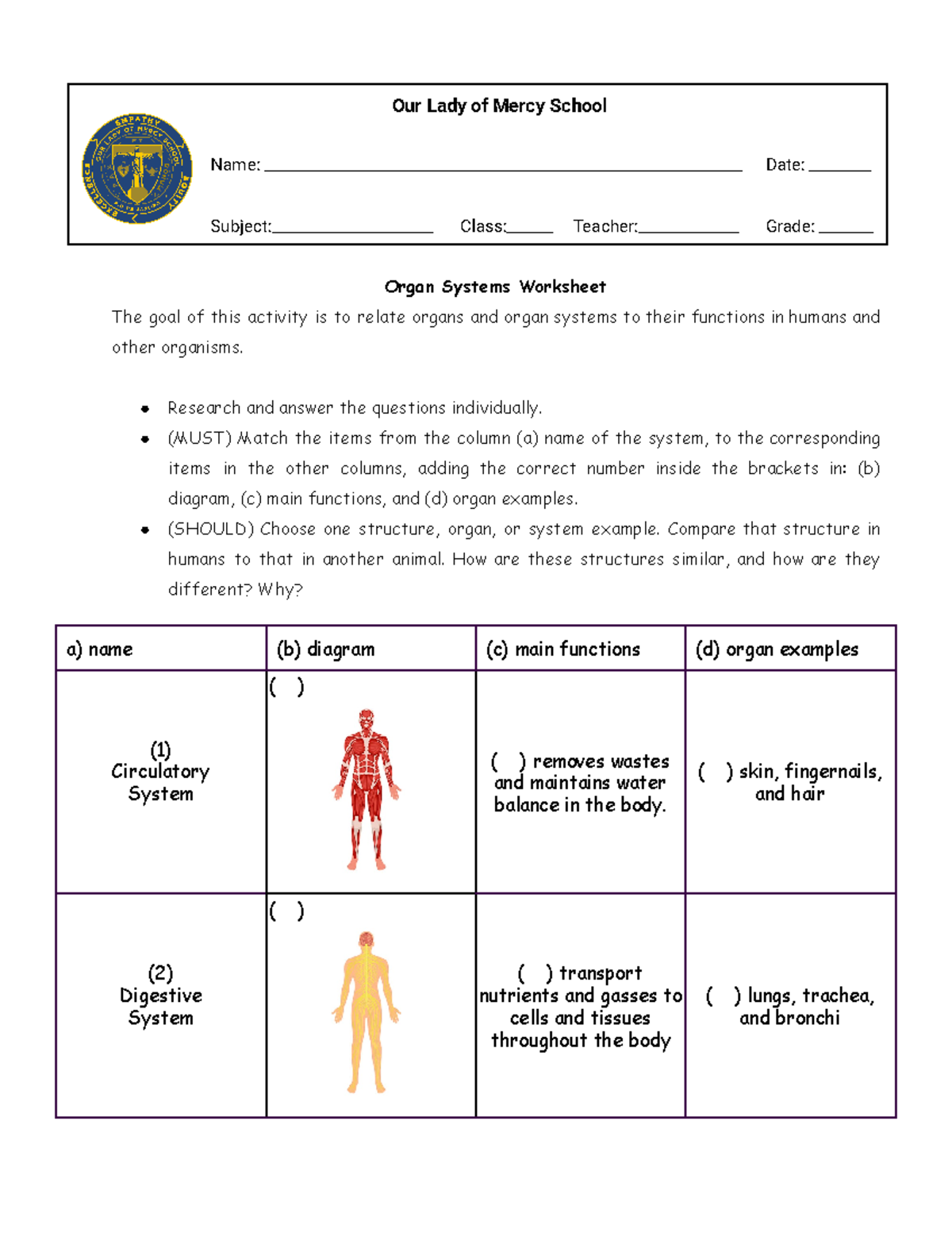 Worksheet - Organ Systems - Google Docs - Our Lady of Mercy School Name ...