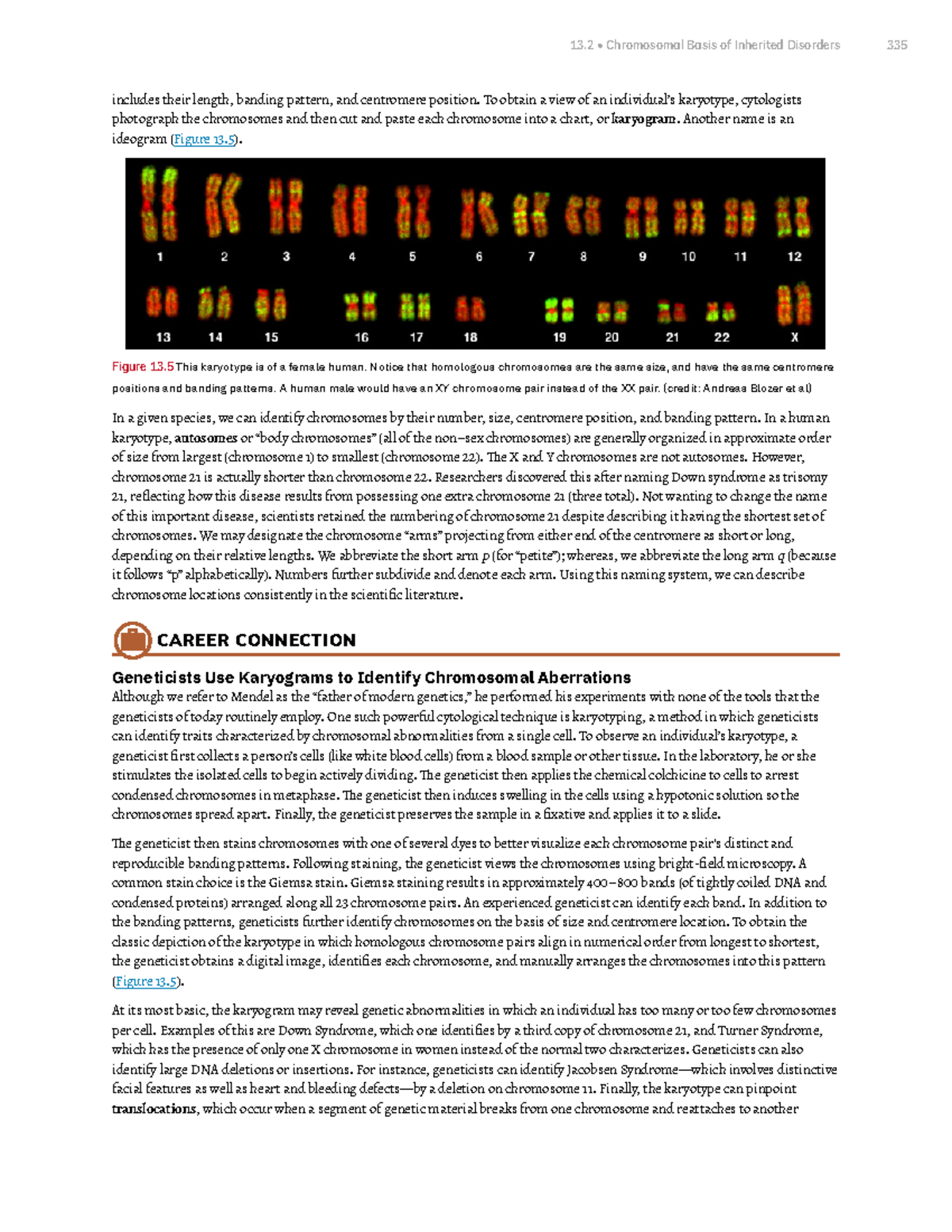Chapter 13 Modern Understandings of Inheritance Part 4 - includes their length, banding pattern ...