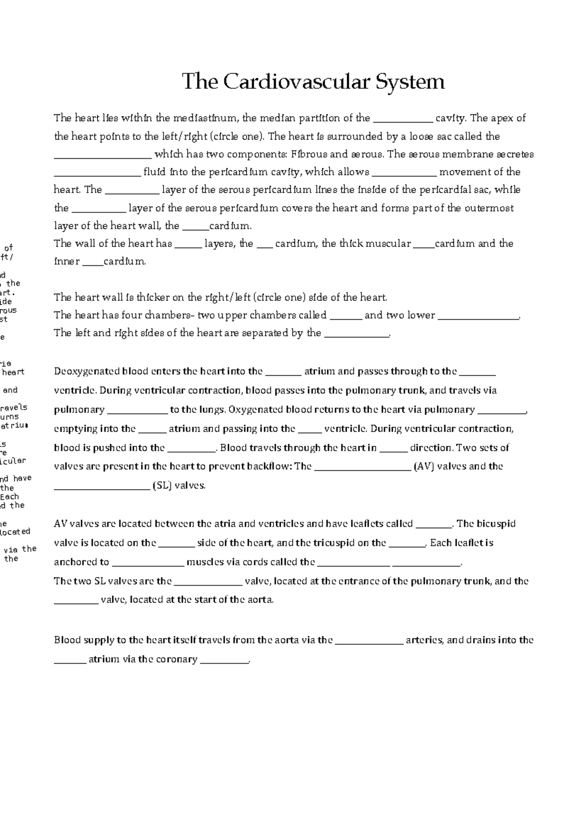 CVS Handout 2024 Bb copy - The Cardiovascular System The heart lies ...