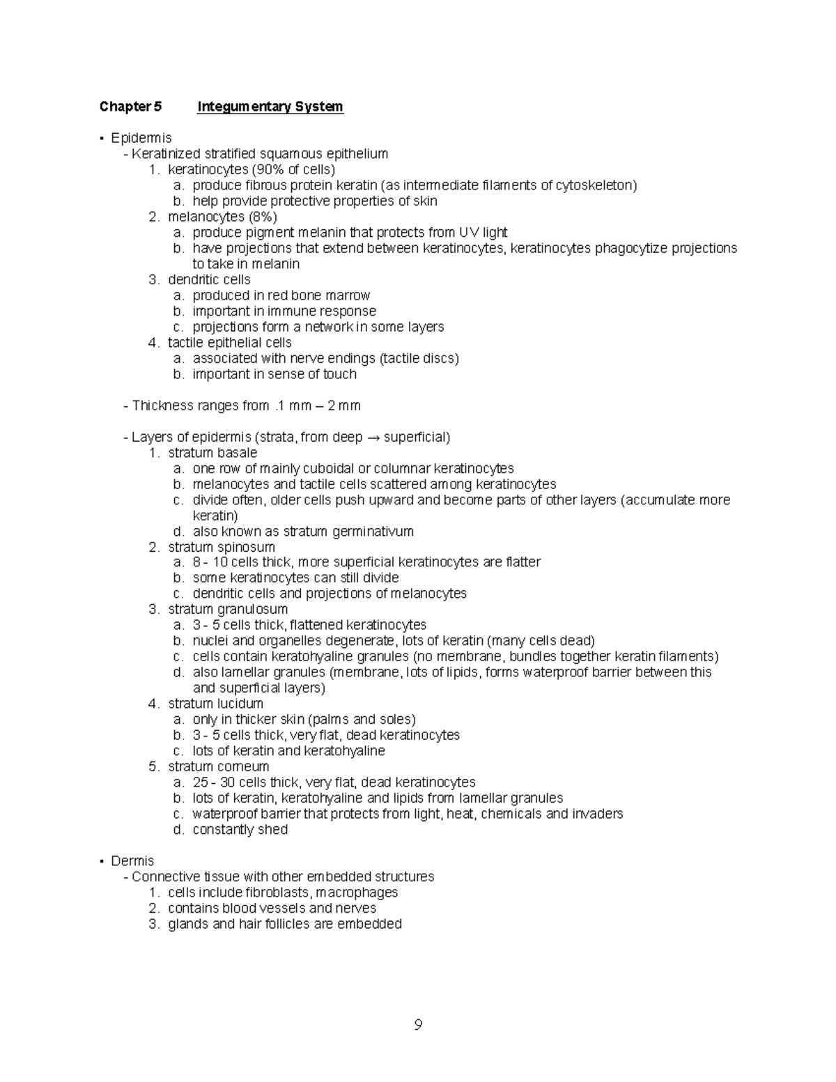 Integumentary System Notes - 9 Chapter 5 Integumentary System Epidermis ...