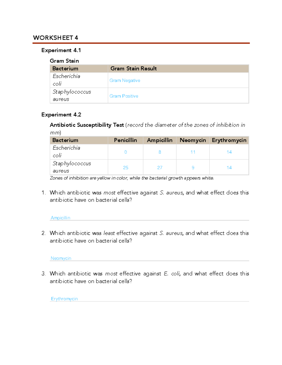 BSC108 Lab4 Worsheet - Warning: TT: undefined function: 32 WORKSHEET 4 Experiment 4. Gram Stain ...