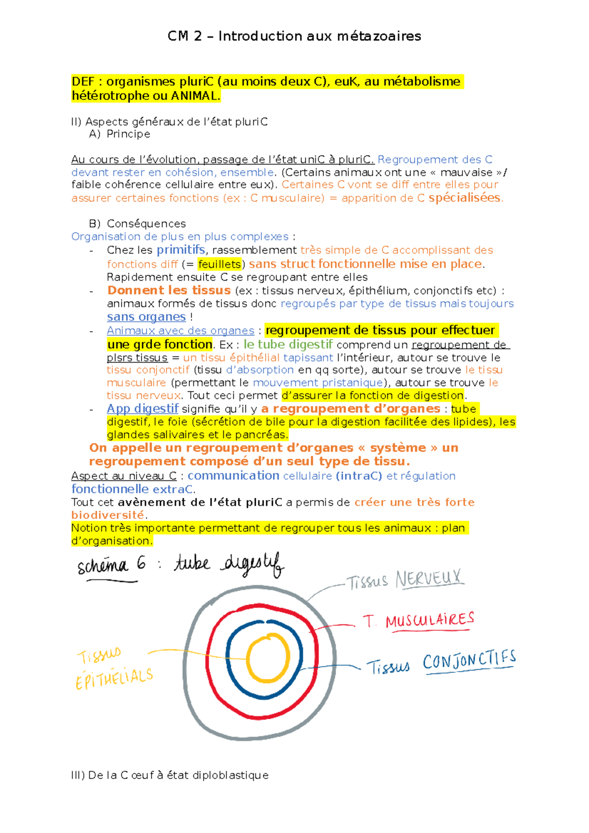 CM 2 BOA - Metazoaire - Notes de cours 2 - CM 2 – Introduction aux ...