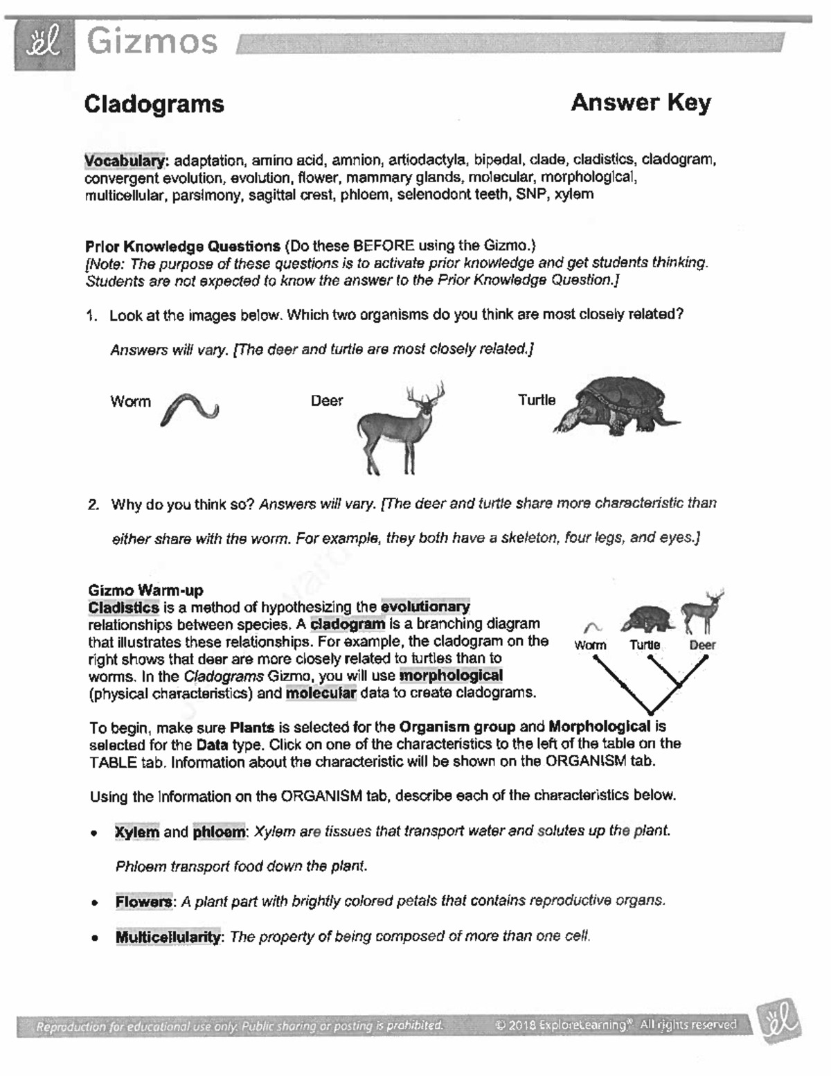 Gizmo Cladogram Answers - Studocu