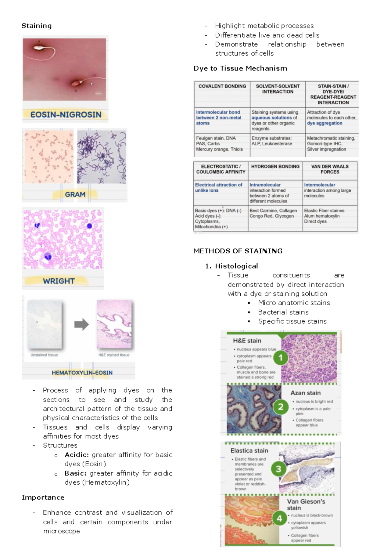 Floatation Mounting Staining Technique - Staining Process of applying ...