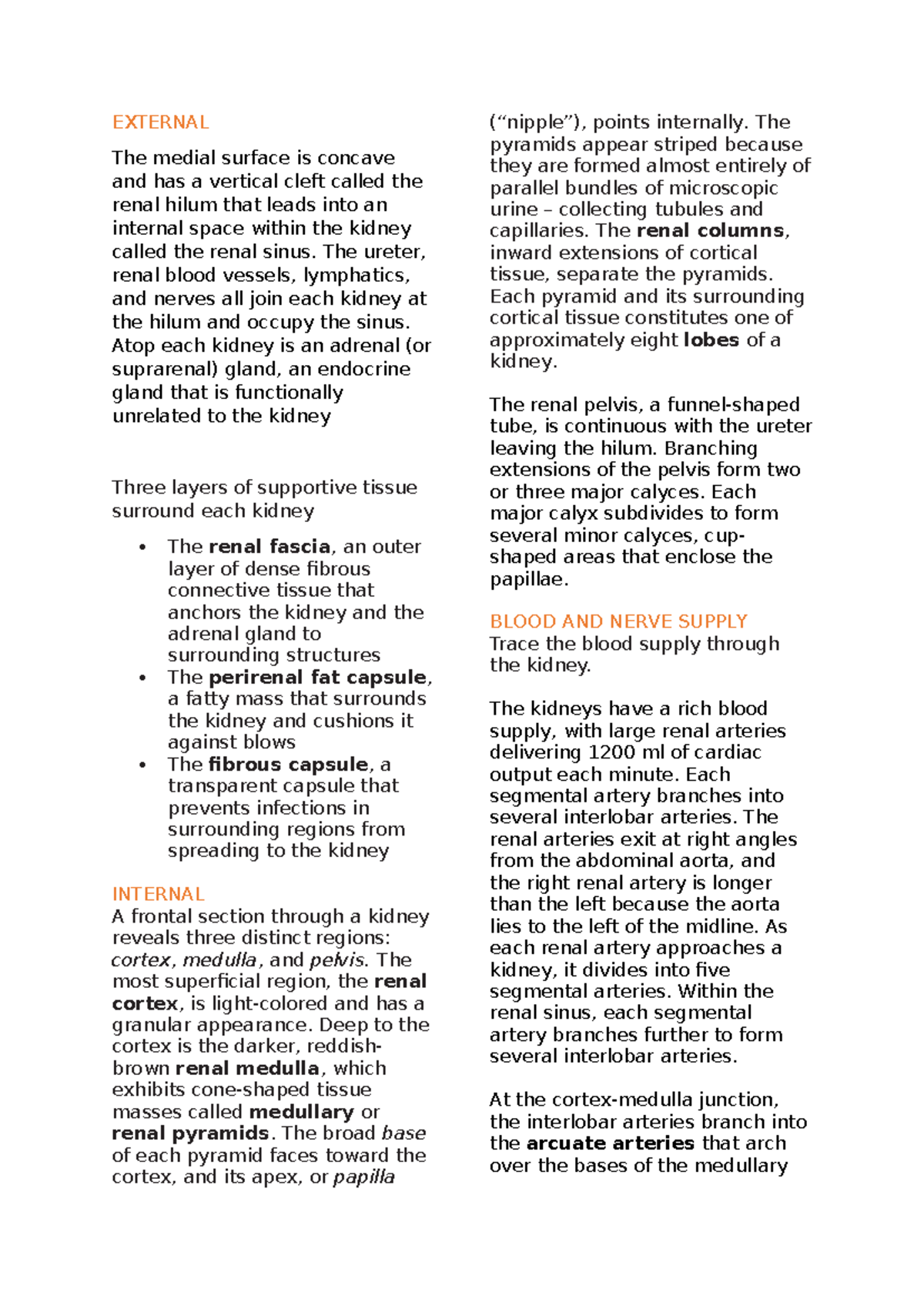 Urinary System - don't share - EXTERNAL The medial surface is concave and has a vertical cleft ...