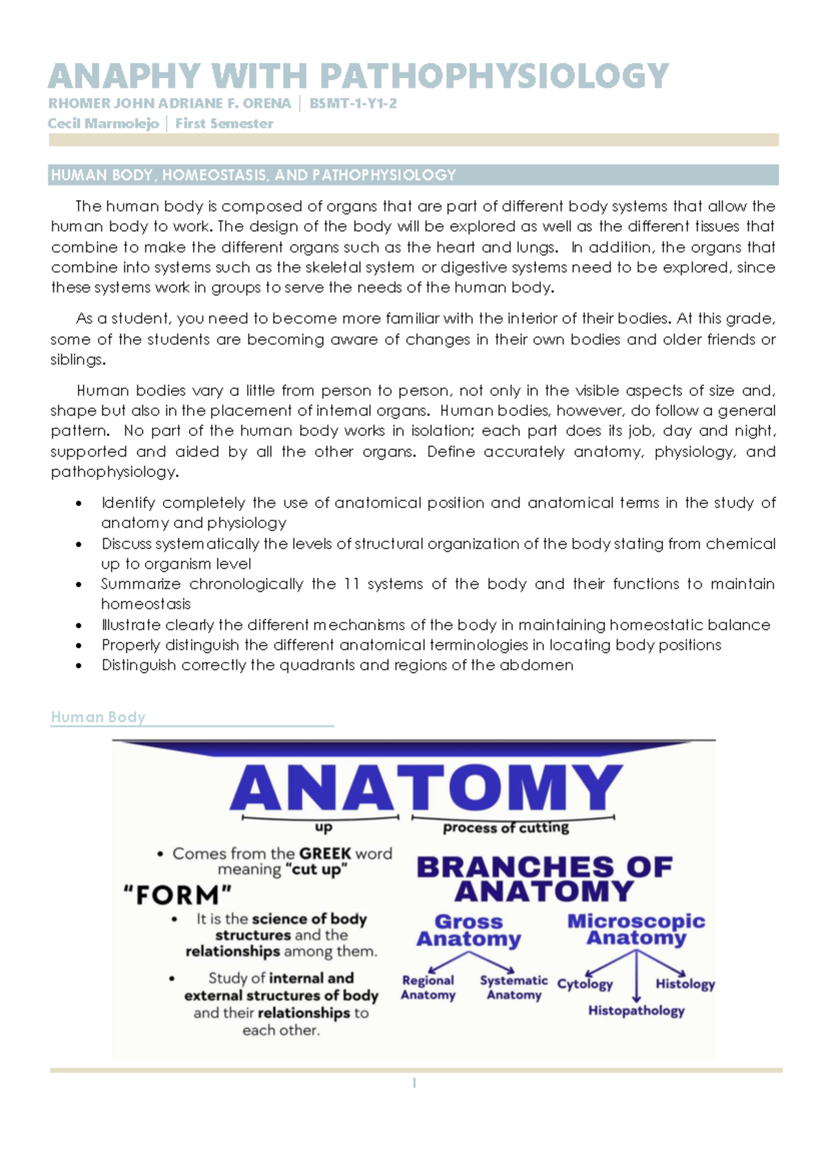WEEK 2 Human BODY Homeostasis AND Pathophysiology - HUMAN BODY ...