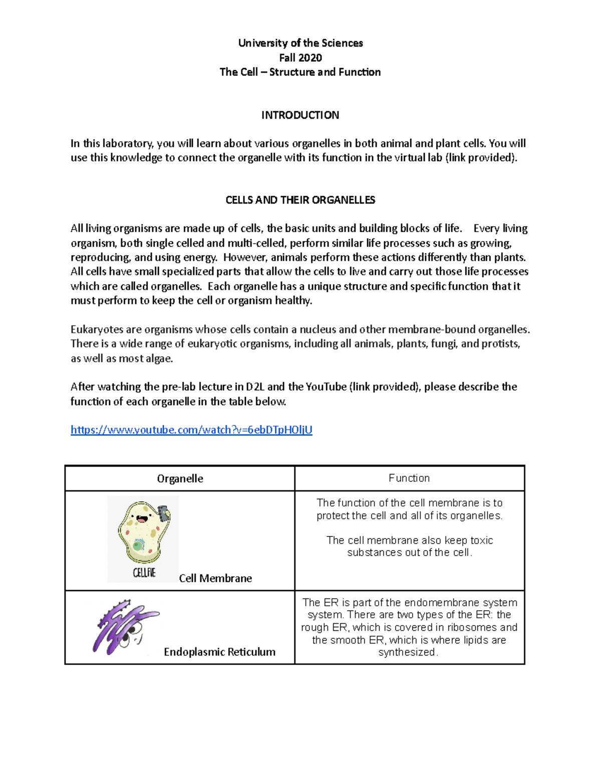 The Cell - Structure and Function Worksheet copy - University of the ...