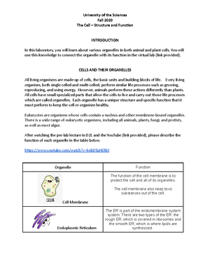 Fermentation and Cellular Respiration Worksheet copy - University of ...