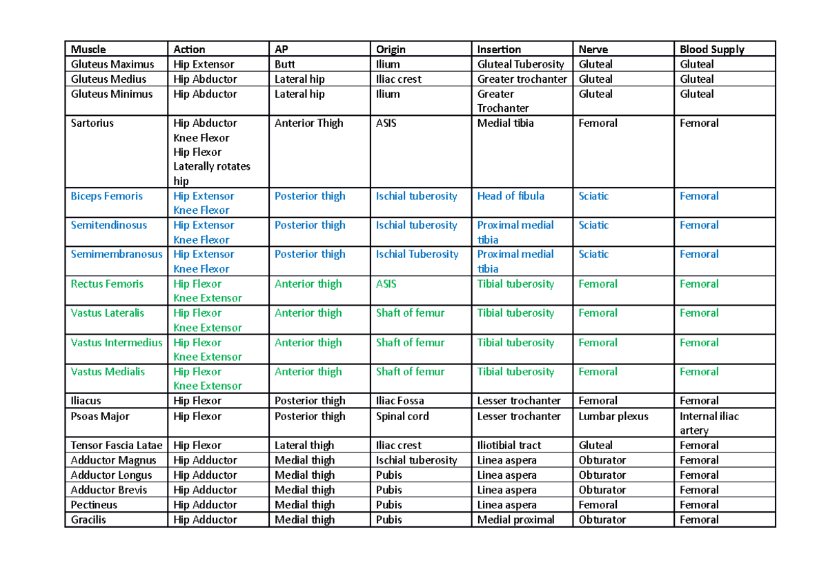 Lower limb OIAN table - Muscle Gluteus Maximus Gluteus Medius Action ...