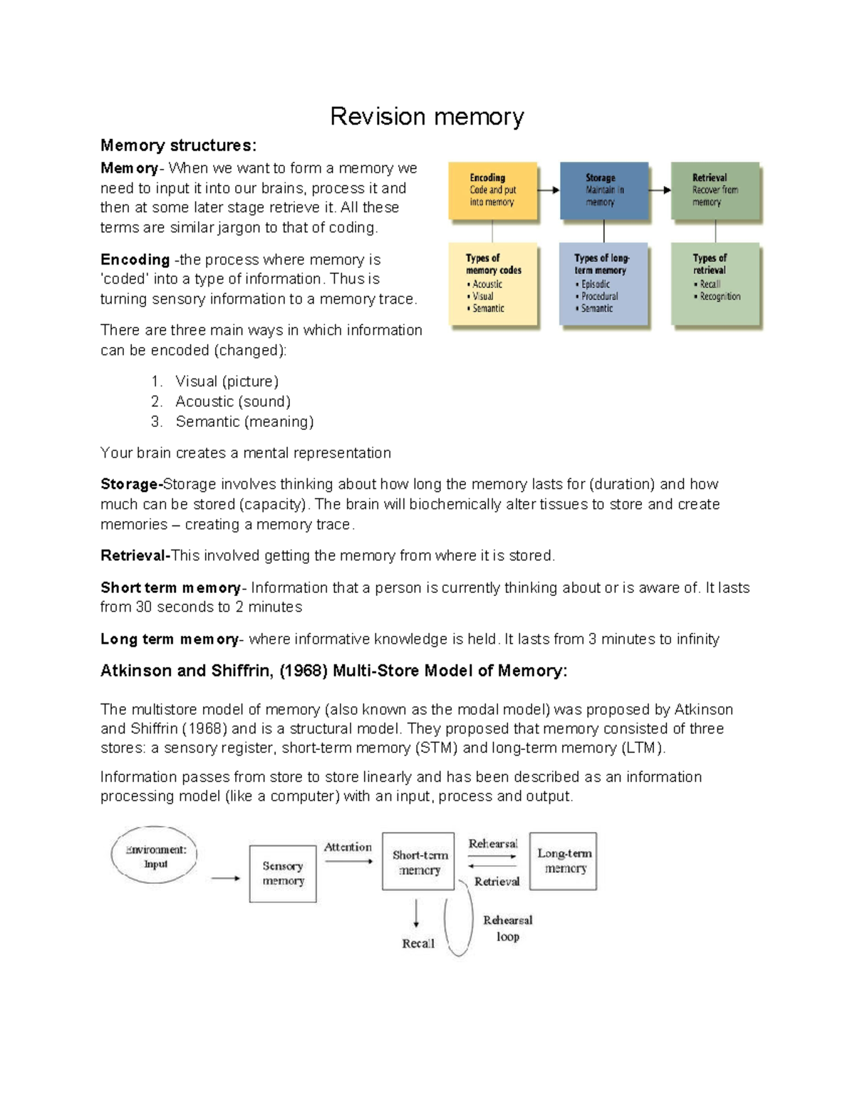 Multistore Model Of Memory Studying Psychs