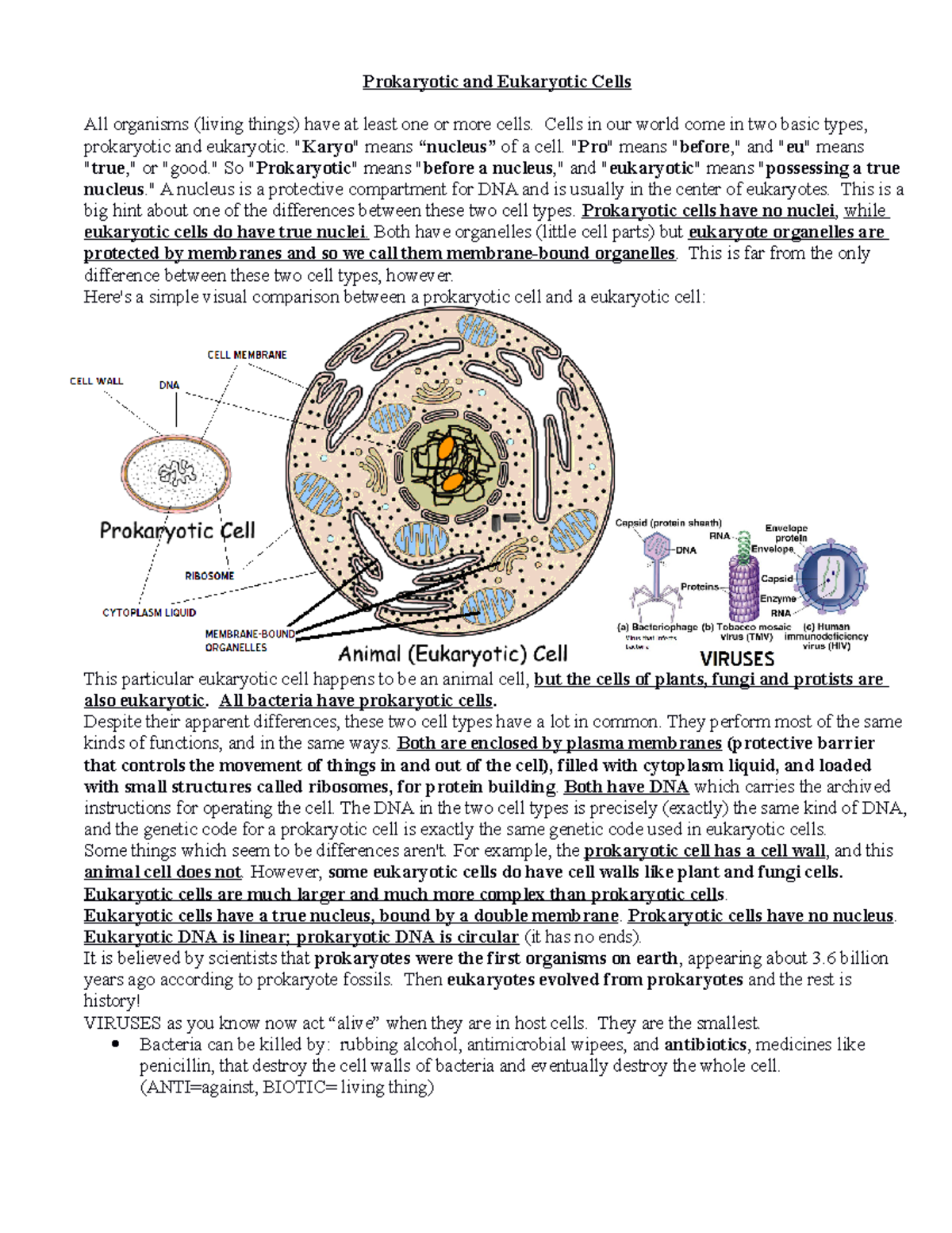 Cell Function Readers Activity - Prokaryotic and Eukaryotic Cells All ...