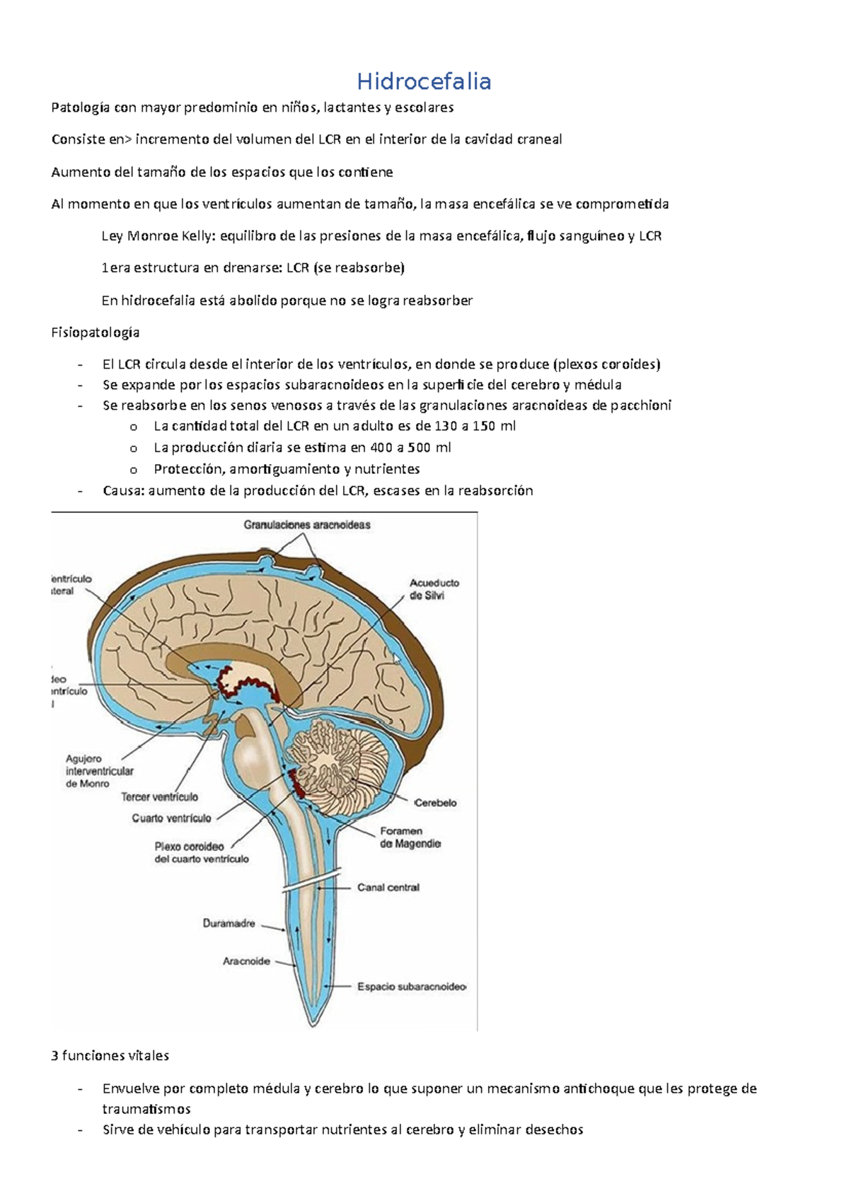 Hidrocefalia - hola - Hidrocefalia Patología con mayor predominio en ...