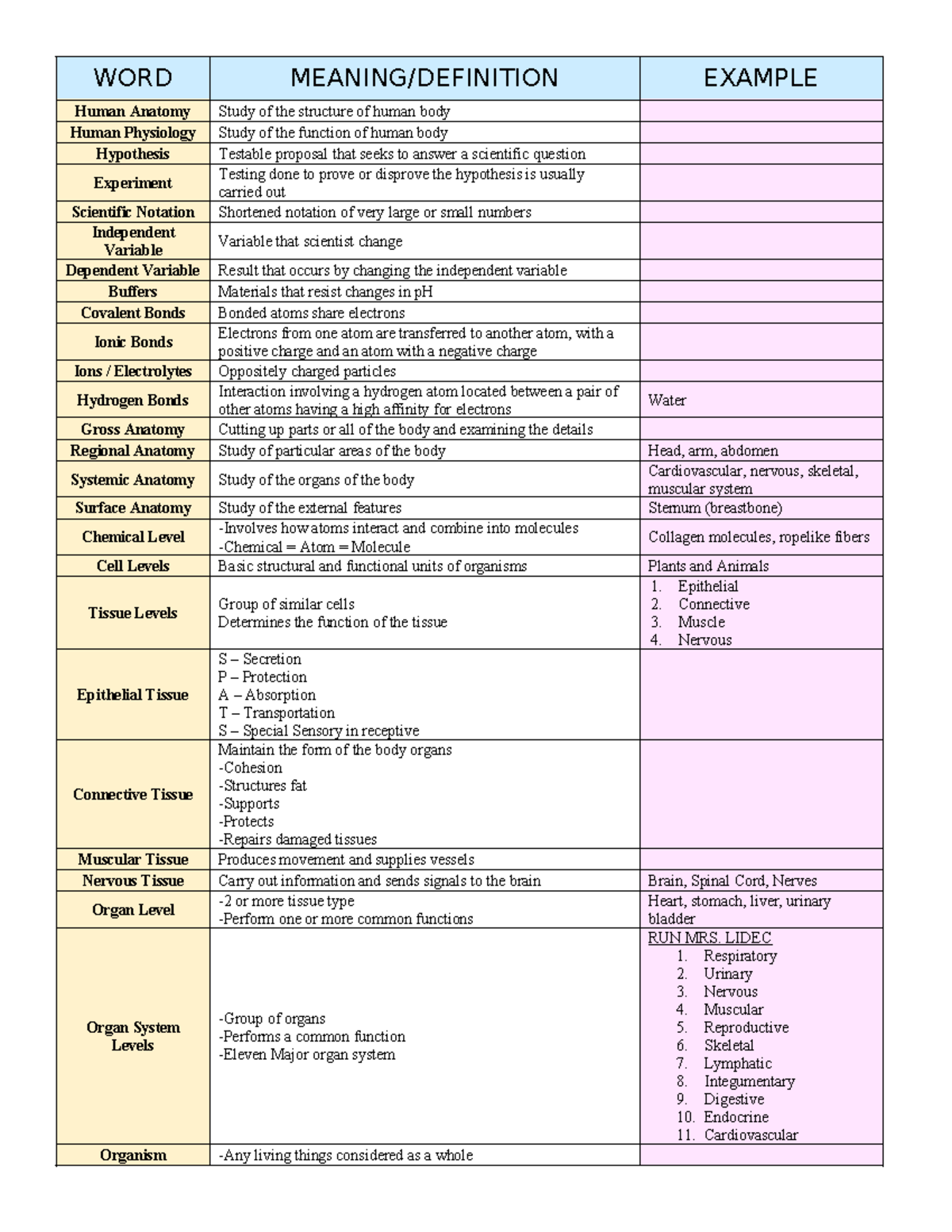 Reviewer Chapter 1 - WORD MEANING/DEFINITION EXAMPLE Human Anatomy ...