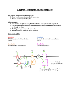 Bio microscopes - bio microscope notes - 1. 2. 3. 4. 5. ï ï 6. 7. 8. 9 ...