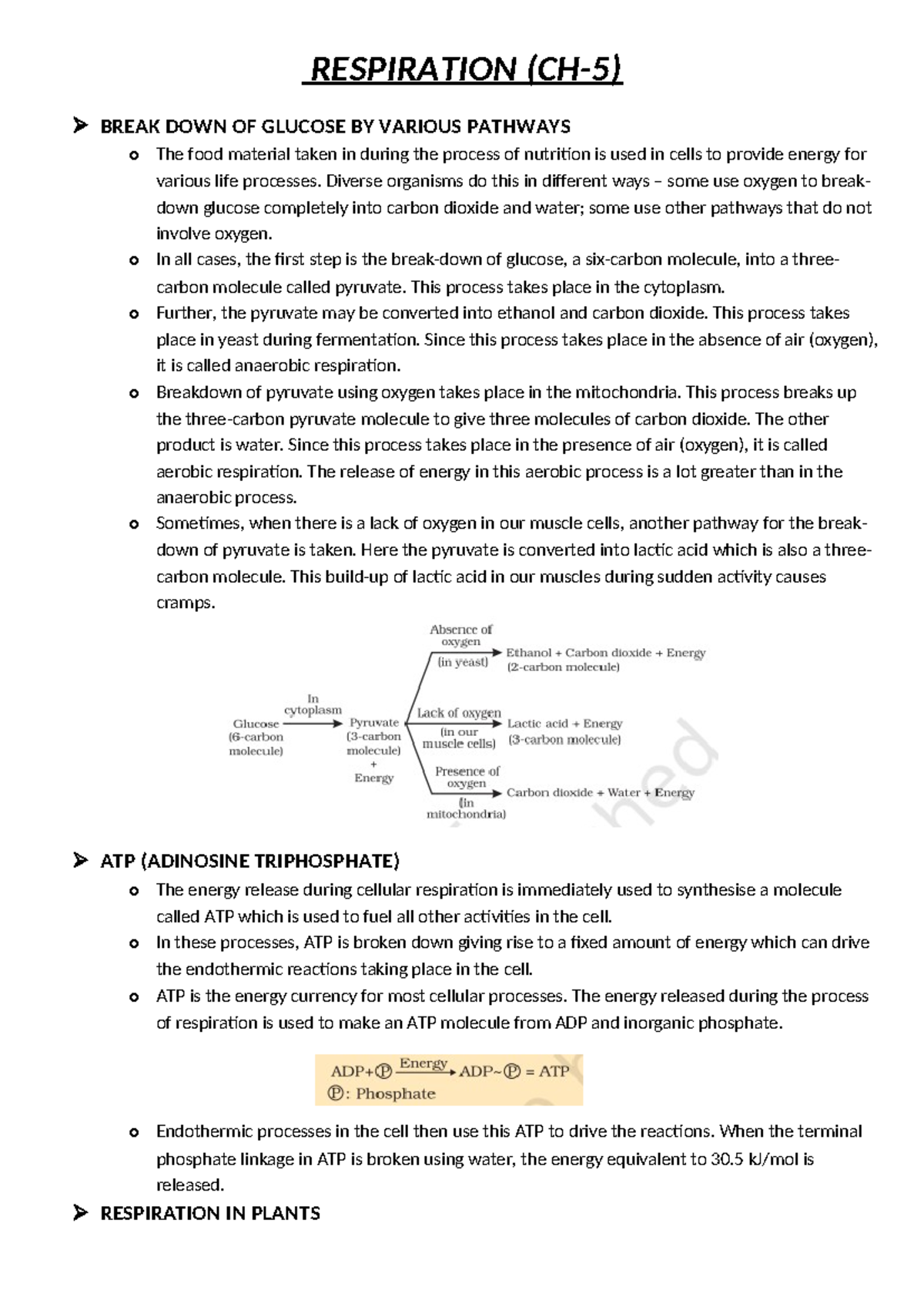 Respiration - These are best notes for biology class 10. Covers full ...