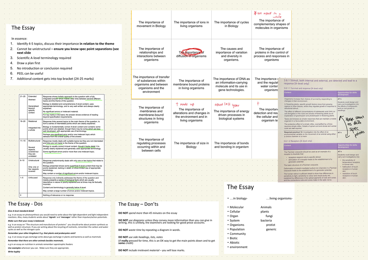 Bio Essay Practice Points - BIOC0001 - ⑳ there couna ↑ spec int - Studocu