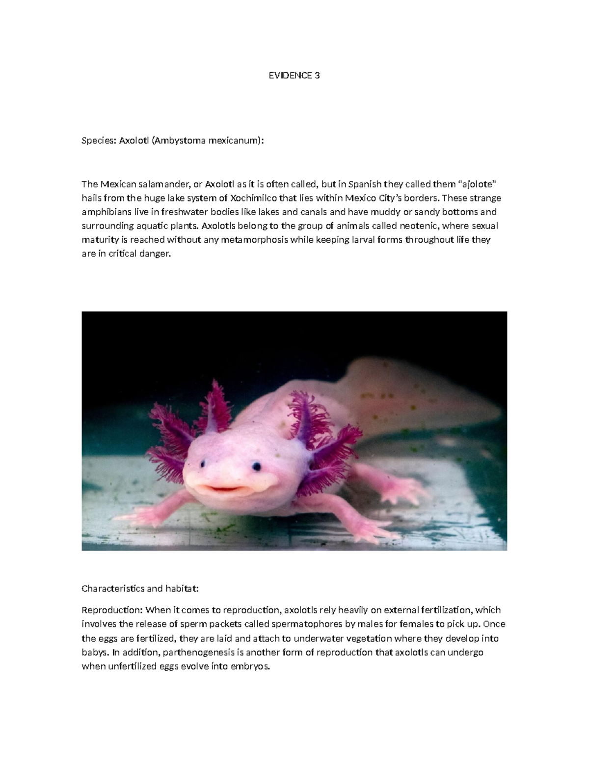 Evidence 3 LIFE Science - EVIDENCE 3 Species: Axolotl (Ambystoma ...