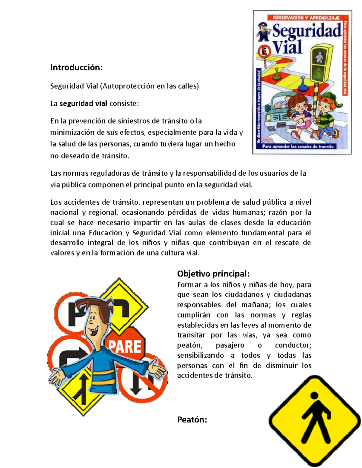 Seguridad Vial - Introducción: Seguridad Vial (Autoprotección en las ...