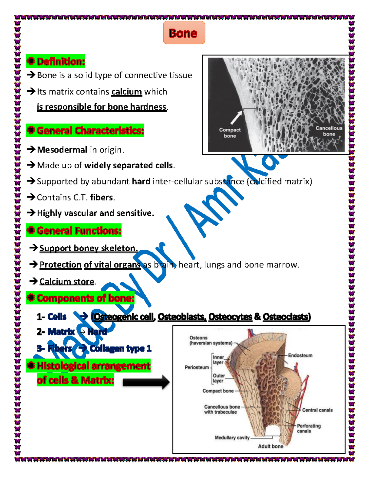 Hist 102 (Bones) - Bone is a solid type of connective tissue Its matrix ...