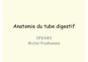 These La dissection du corps humain pour lenseignement et la recherche ...