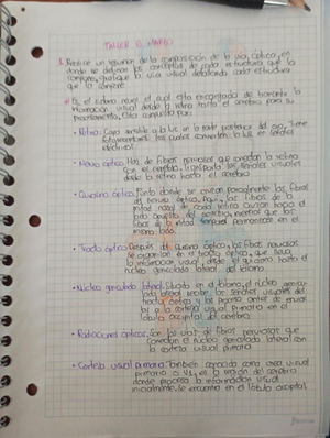 Libro ross histologia 6ta edicion - Libro ross histologia pdf 6ta ...