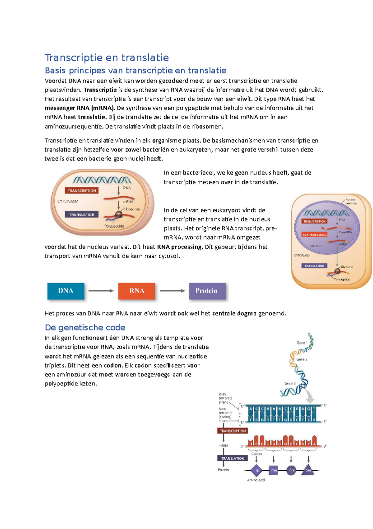Samenvatting biologie - Transcriptie en translatie Basis principes van ...