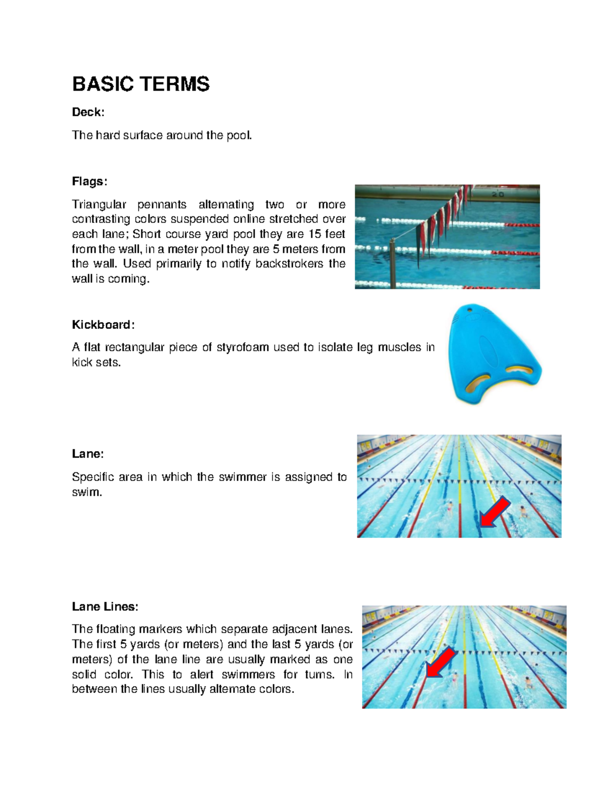 Basic- Terms - description - BASIC TERMS Deck: The hard surface around ...