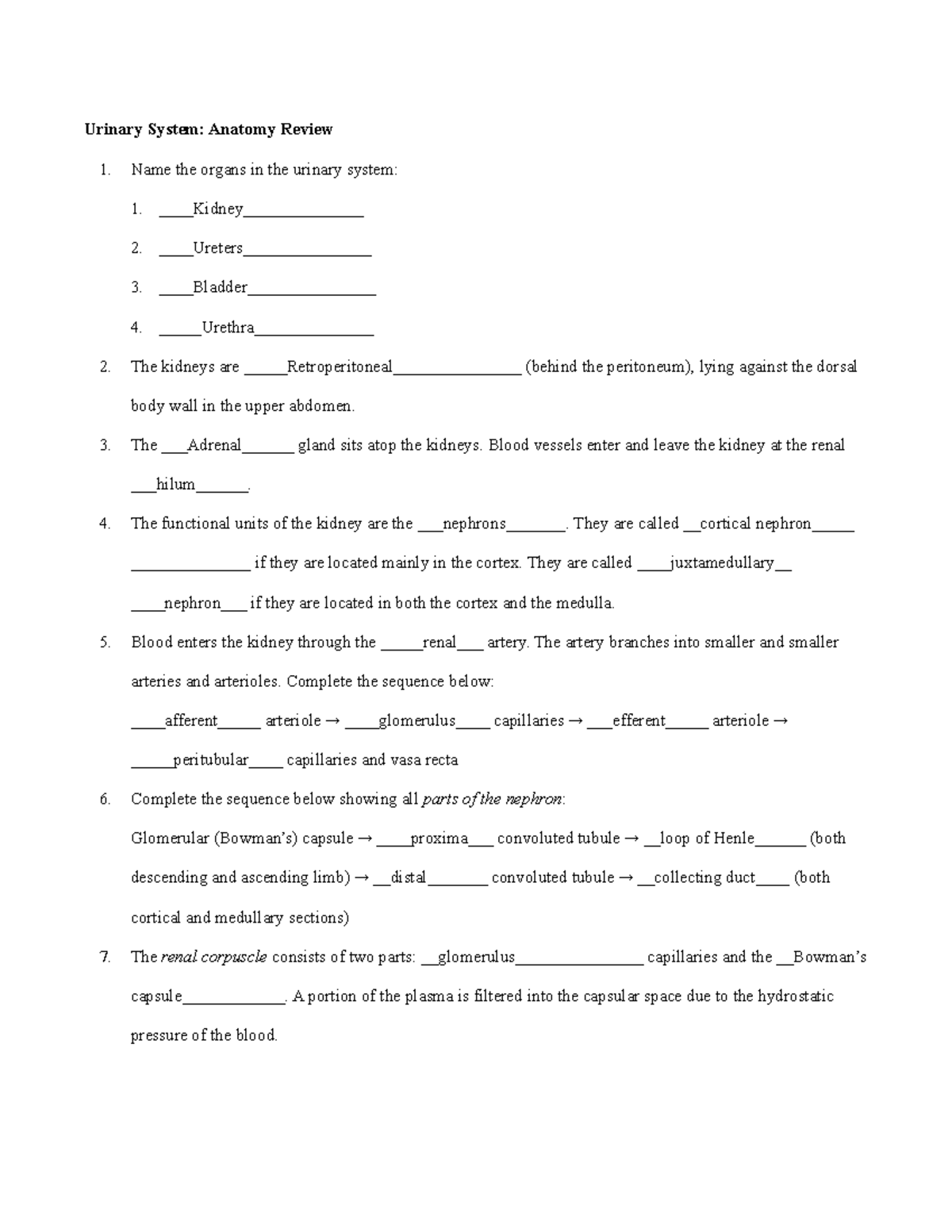 Urine Worksheet 1 - Urinary System: Anatomy Review 1. Name the organs ...