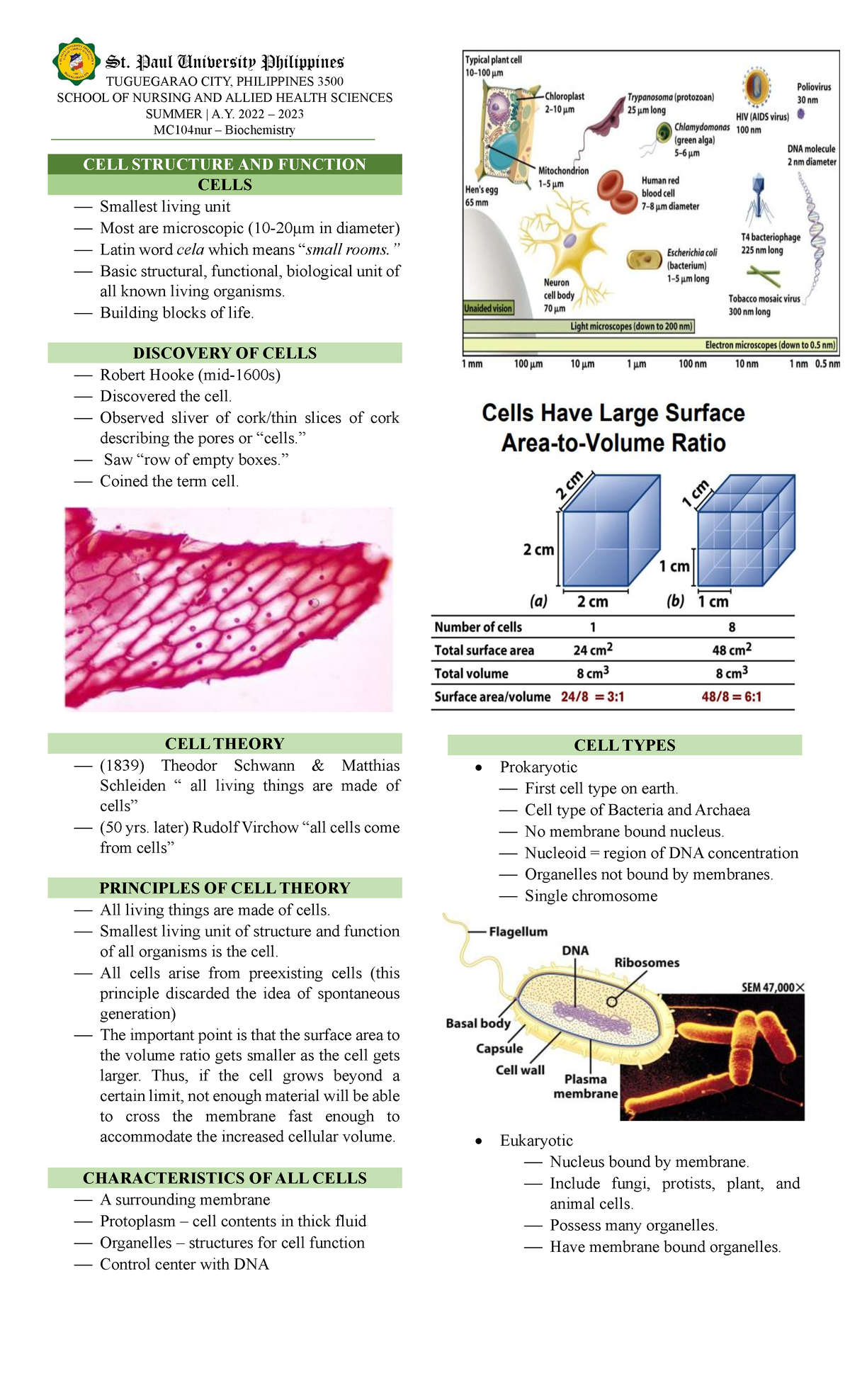 MC104-Biochemistry-CELL- Structure-and- Water- Properties - St. Paul University Philippines ...