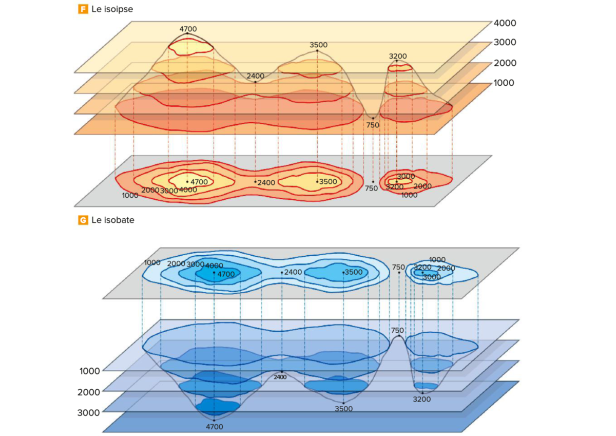 Isoipse isobate - sdvqefsg - Scienze Naturali - Chimica (Scientifico ...