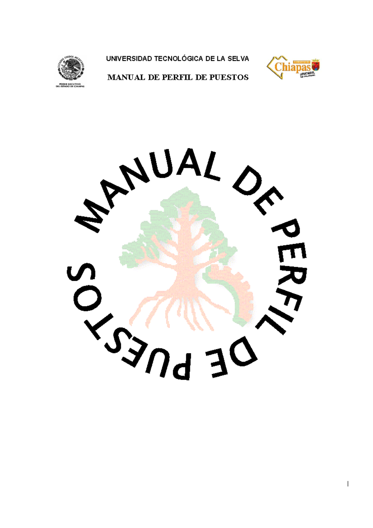 Manual de perfil de puestos - MANUAL DE PERFIL DE PUESTOS I MANUAL DE ...