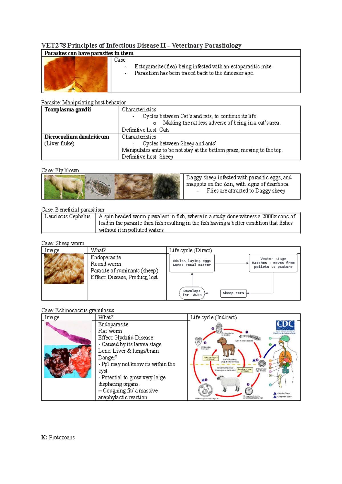 278 Notes - VET278 Principles of Infectious Disease II - Veterinary ...