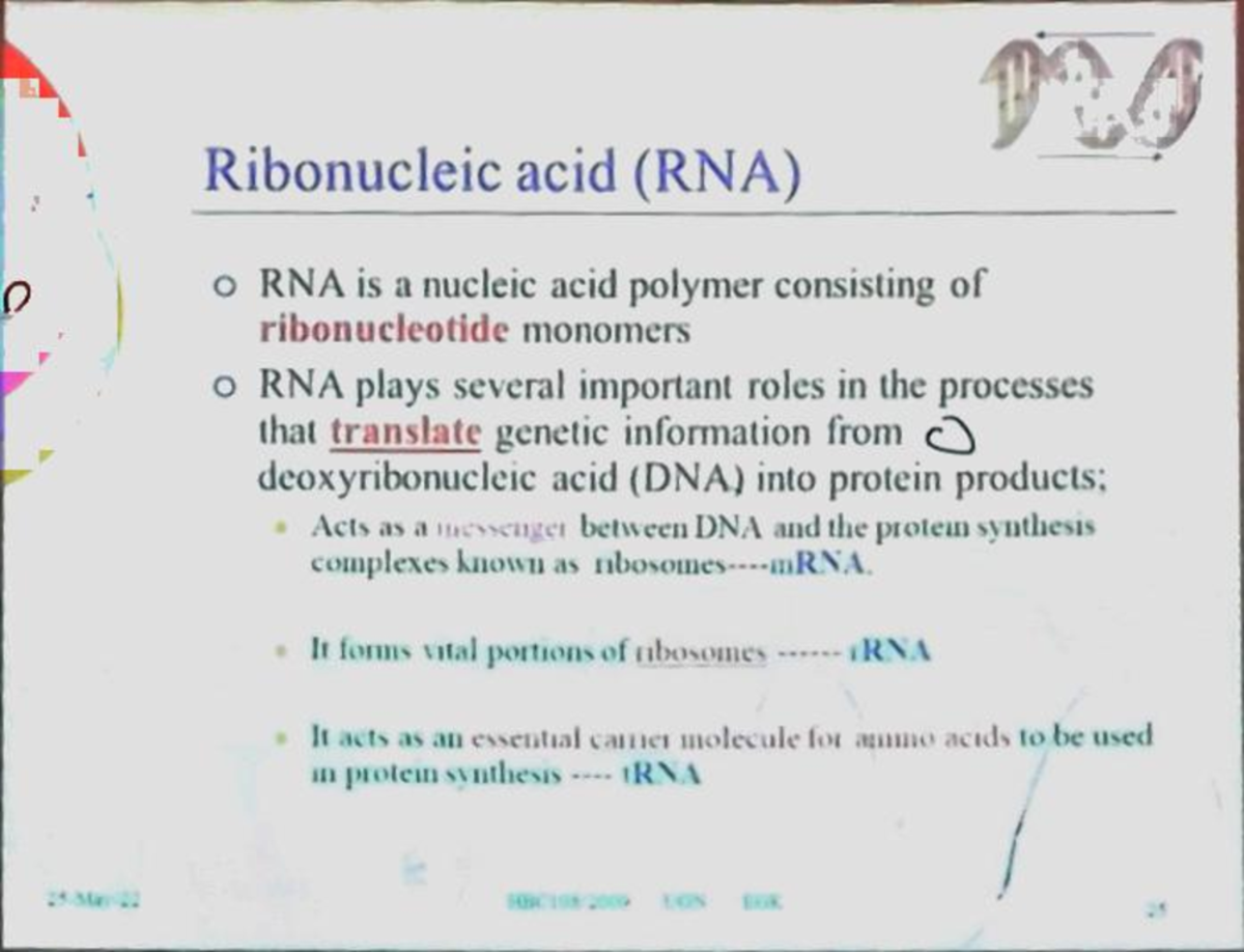 RNA Biochemistry - Am studying for a diploma in clinical medicine at ...
