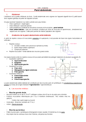 Anatomie 2 - Le membre supérieur: ceinture scapulaire, bras, avant bras ...