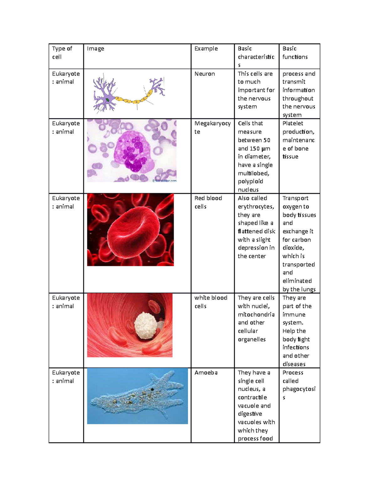Exercise 3 (Rf E1) life science - Type of cell Image Example Basic ...