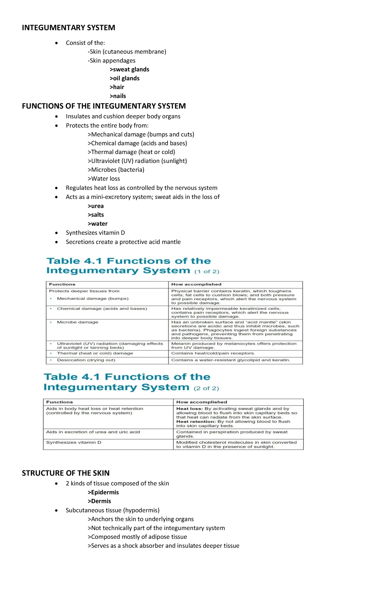 Integumentary- System - INTEGUMENTARY SYSTEM Consist of the: Skin ...