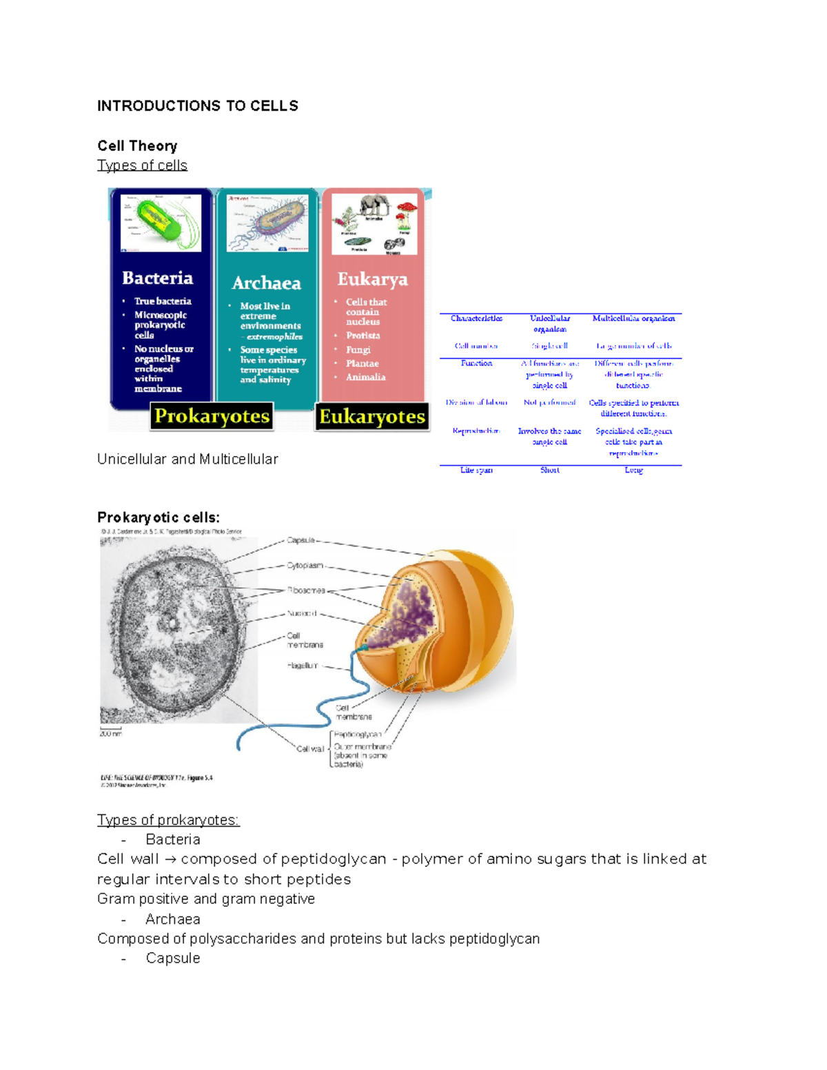 Lecture 6 - INTRODUCTIONS TO CELLS Cell Theory Types of cells ...