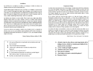 Guia para presentacion de pruebas escritas Personeros 2019 - EN PROCESOS DE SELECCI”N DOCUMENTOS ...