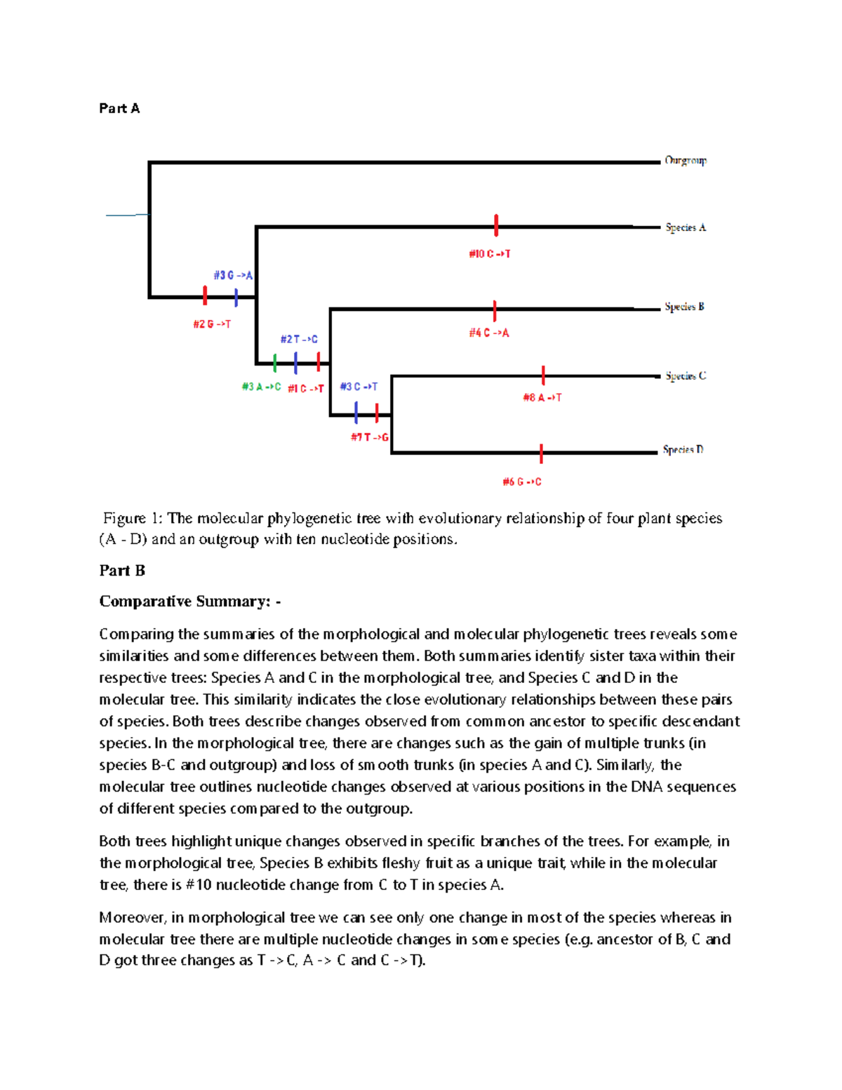 Assignment 6 Final - Part A Figure 1: The molecular phylogenetic tree with evolutionary ...