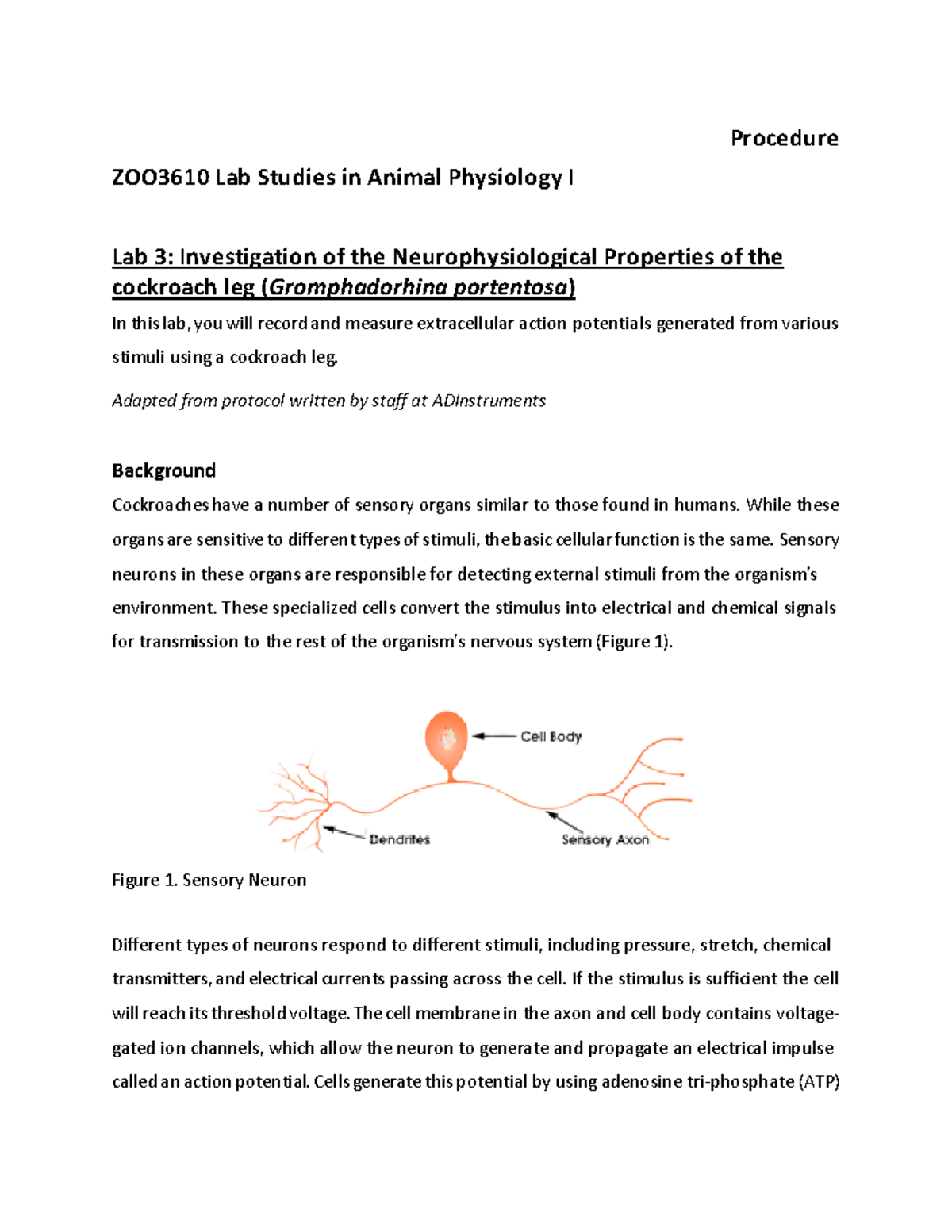 Lab 3 Neurophysiology 2024 - Procedure ZOO3610 Lab Studies in Animal ...