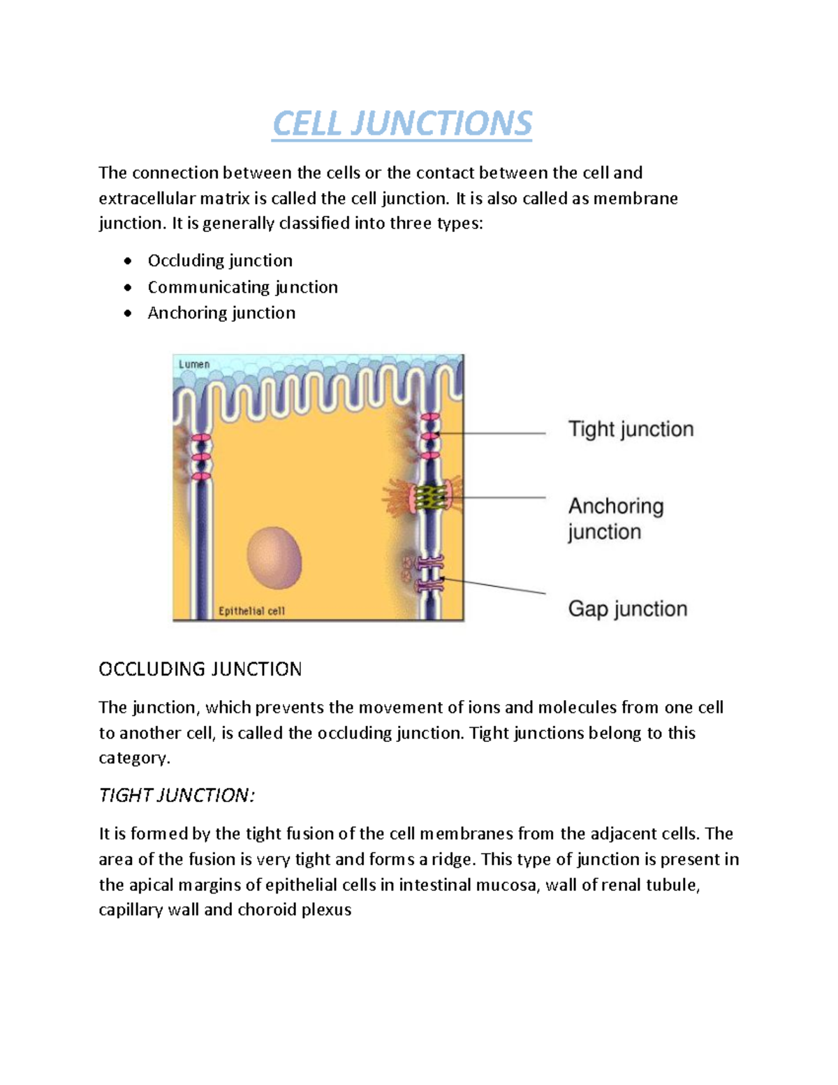 CELL Junctions - CELL JUNCTIONS The connection between the cells or the ...