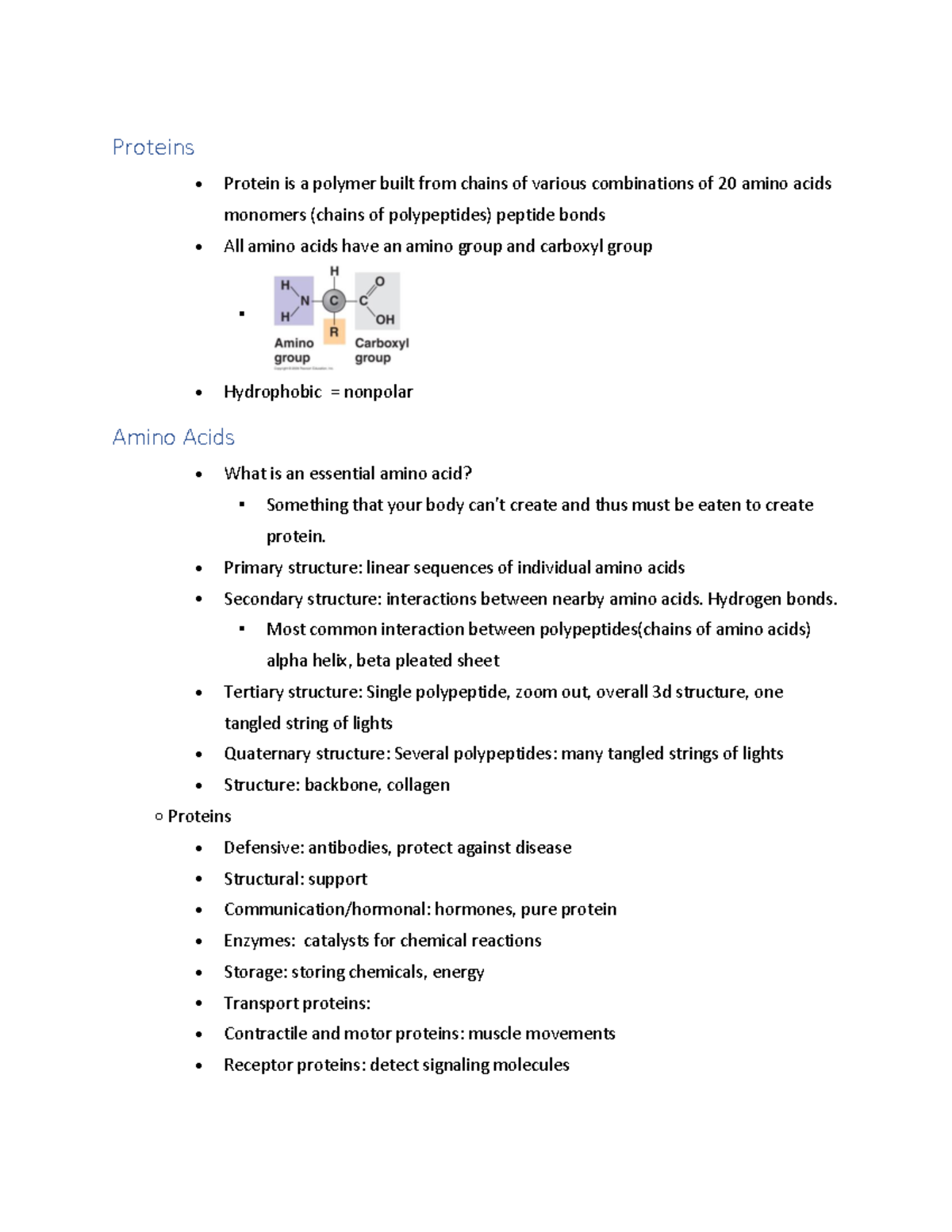 Nucleic Acids - Lecture notes 3 - Proteins Protein is a polymer built ...