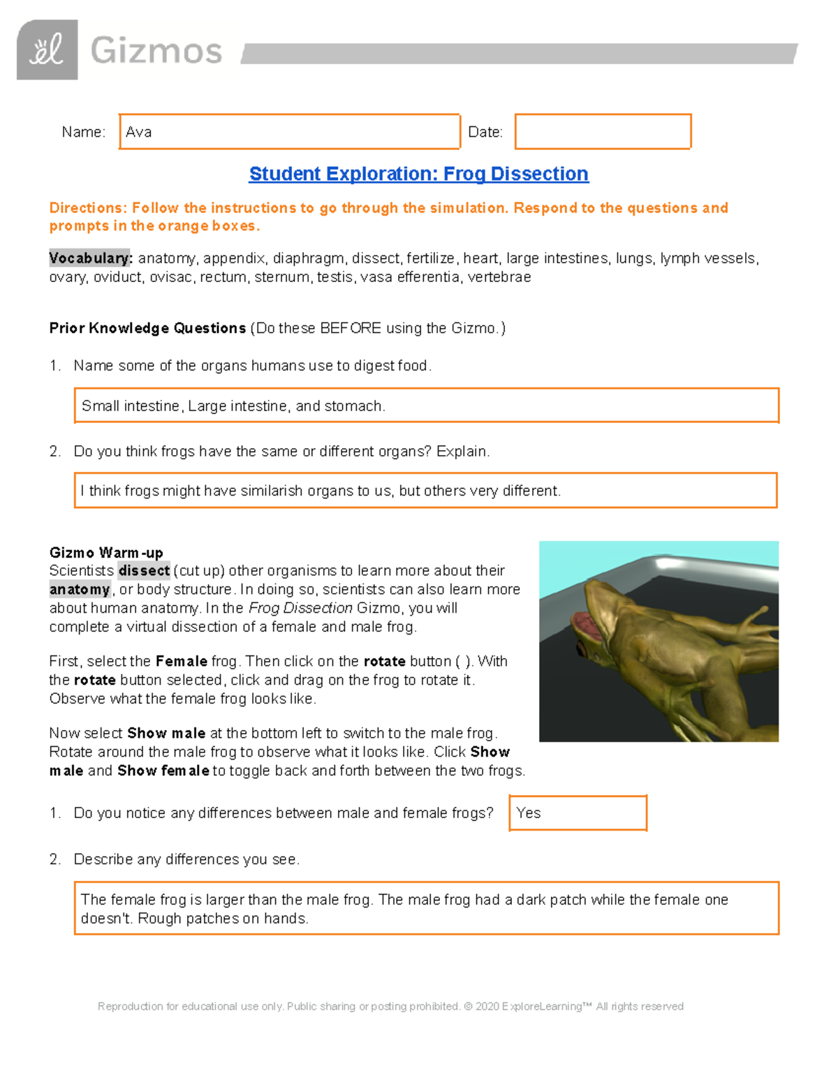 Ava Copy of Frog Dissection SE - Name: Ava Date: Student Exploration ...